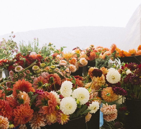 Home - Ottawa Flower Donation
